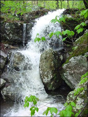 mswaterfall | Upper Buffalo River Association